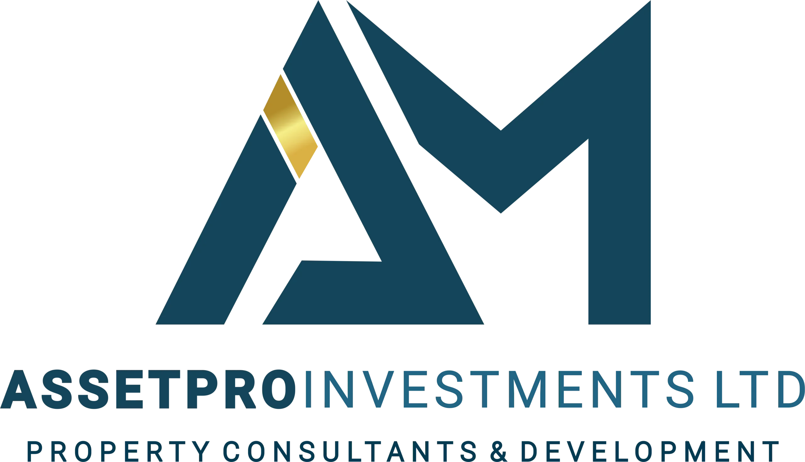 Asset Pro Investitionen Ltd. - ASSETPRO INVESTMENTS LTD